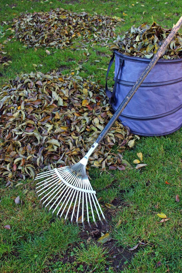 Gardening in autumn stock photo. Image of pick, green - 29523266