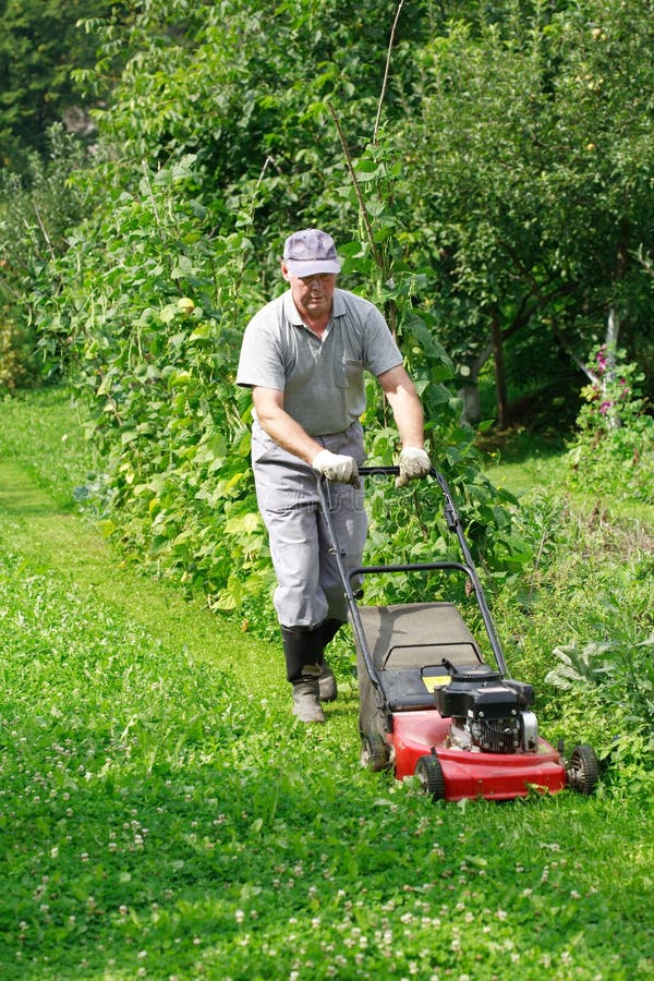 Gardening - Cutting the Grass Stock Photo - Image of mowing, lawn: 6397256