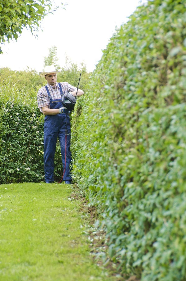 Topiary Trimming Plants stock photo. Image of gardener - 55484246