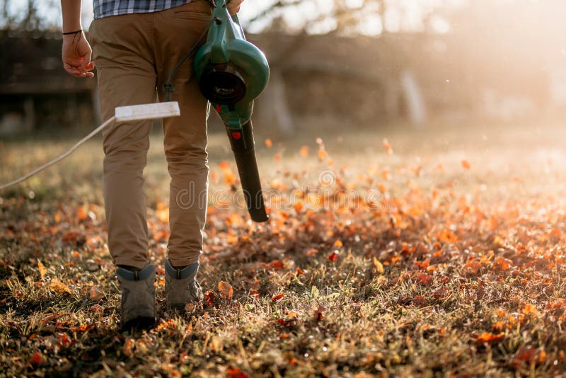 Gardening Details, Working Man Using Leaf Blower in Garden Stock Image ...