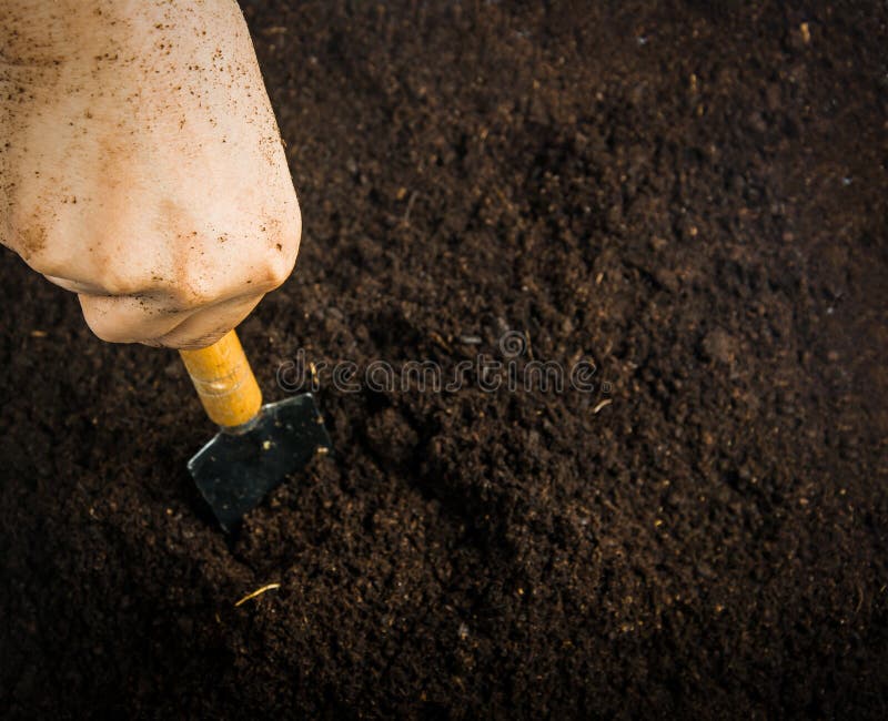 Gardening Equipment with Hand and Soil Stock Image - Image of organic ...
