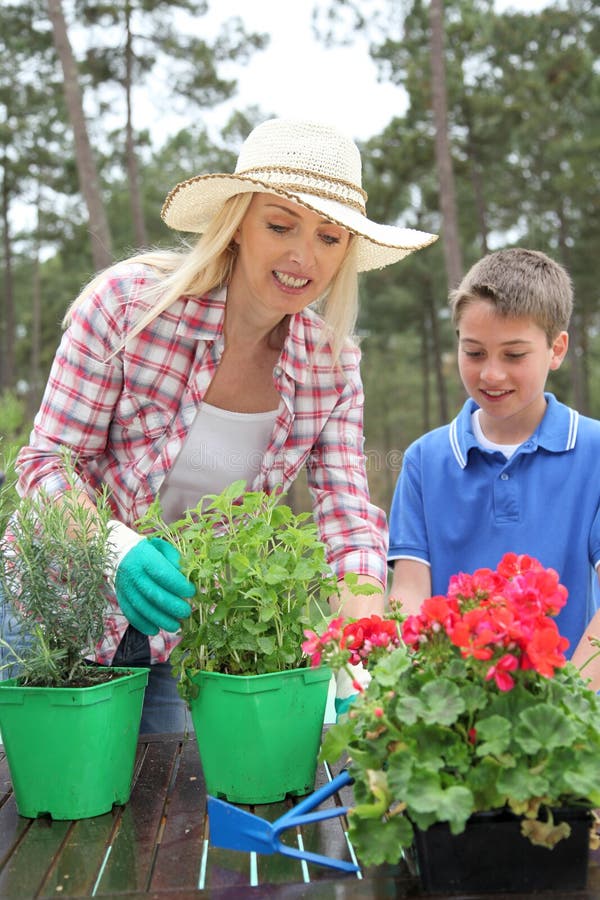 Gardening in family stock image. Image of learning, child - 19262311