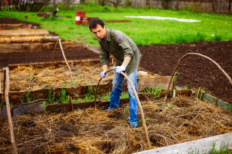 Gardening. stock image. Image of greenhouse, bright, compost - 54666003