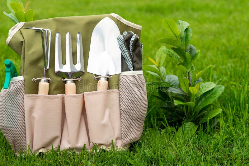 Gardening stock photo. Image of summer, tools, time, shovel - 98640662