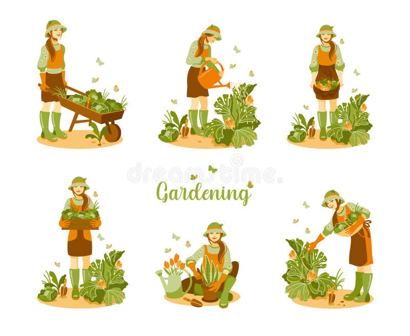 Gardening and Harvesting. Season Spring - Summer. Set of Illustrations ...