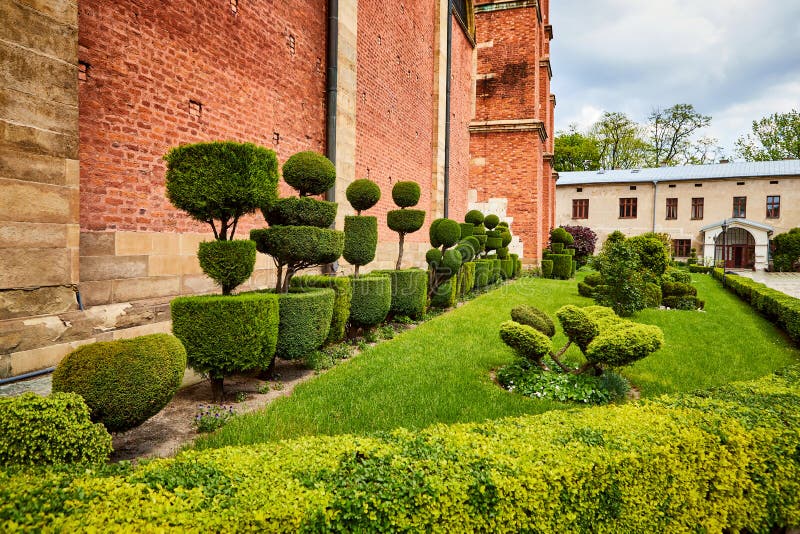Gardening and Landscaping with Decorative Trees and Plants Stock Image ...