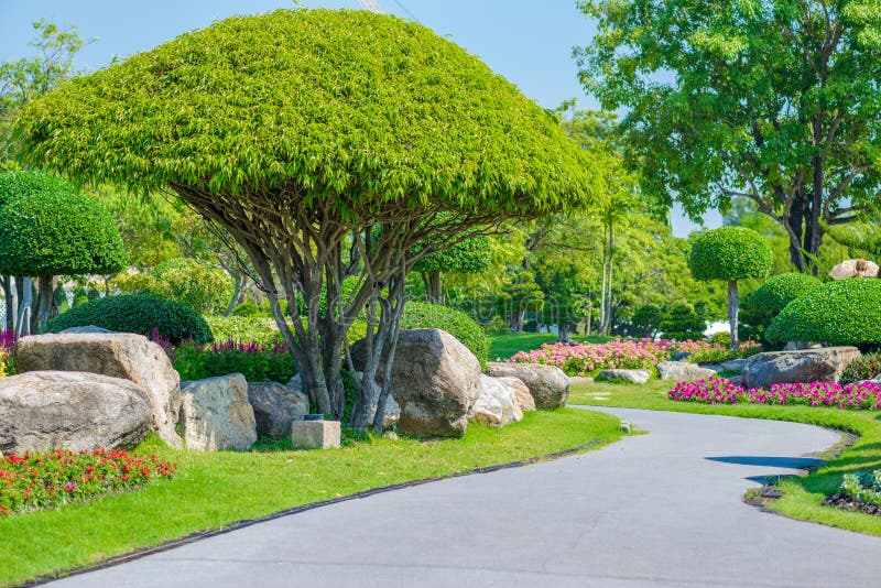 Gardening and Landscaping stock image. Image of house - 63804589