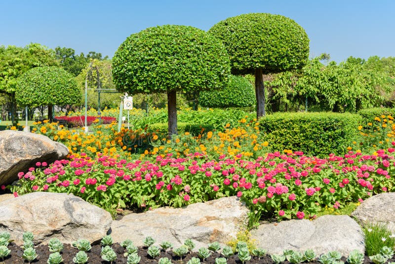 Gardening and Landscaping stock photo. Image of plant - 64081514