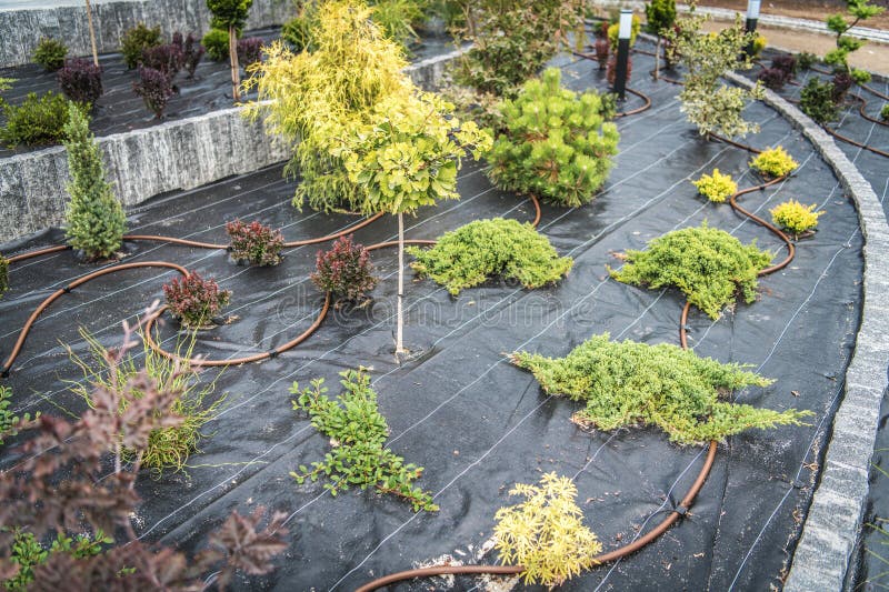 Gardening Layout with Various Plants and Irrigation Setup in a ...