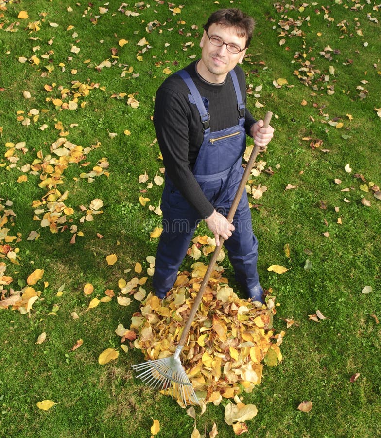 Senior Man Raking Leaves stock photo. Image of fall, raking - 11458604