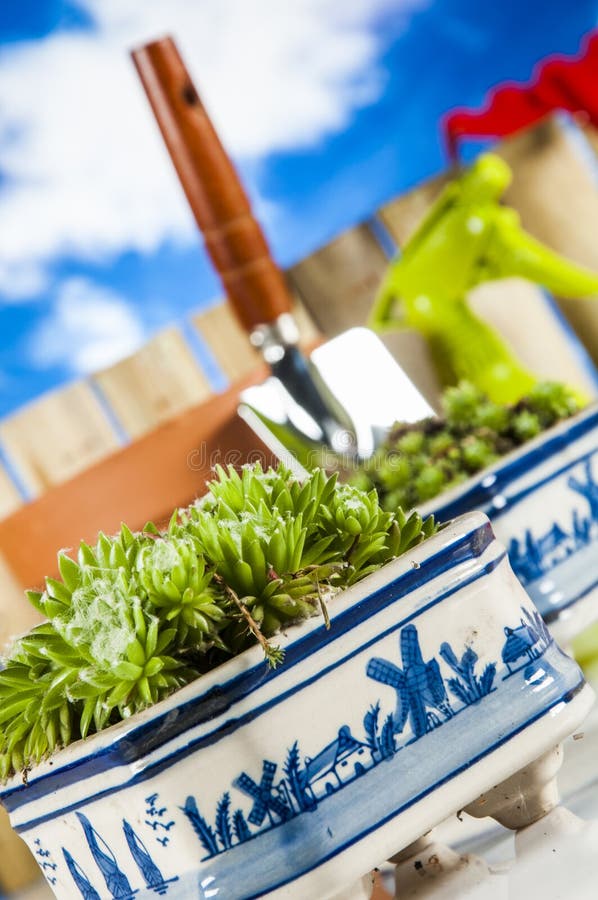 Gardening with rural stuff stock image. Image of season - 35764669
