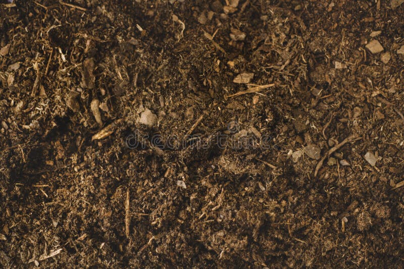 Gardening Soil. High Quality and Resolution Beautiful Photo Concept ...