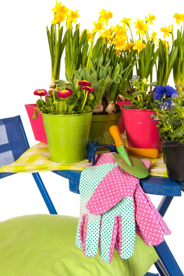 Gardening in spring stock photo. Image of pansy, studio - 28666586