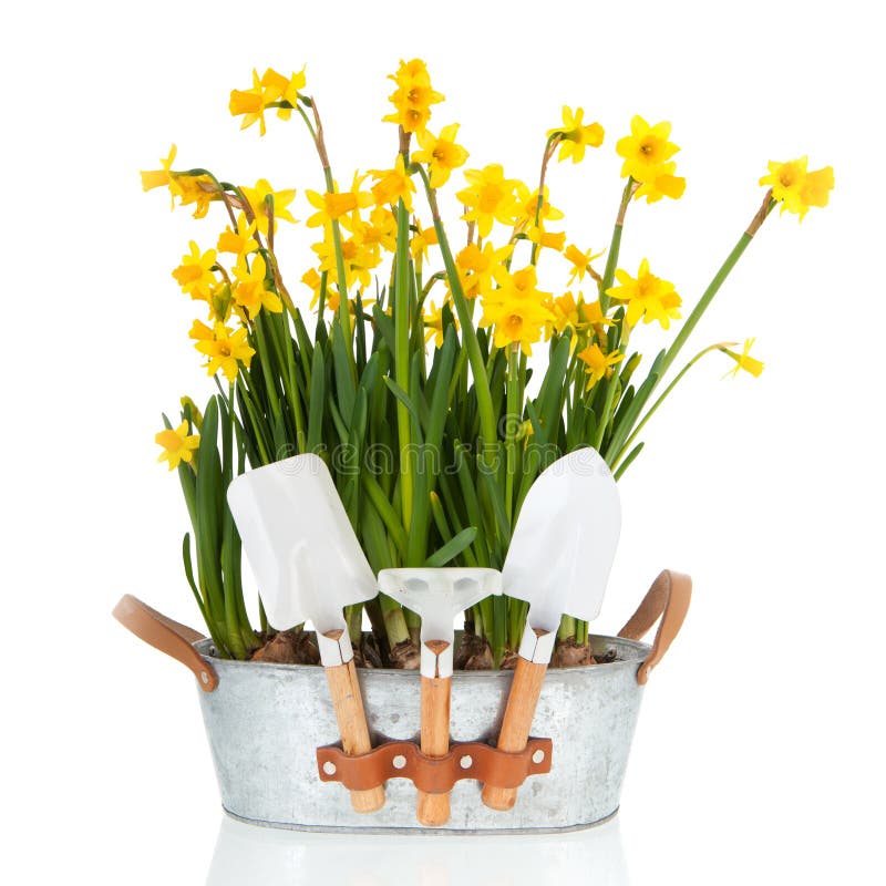 Gardening in spring stock photo. Image of nature, equipment - 38443540