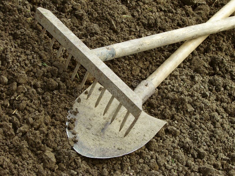 Gardening tools stock photo. Image of labor, shovel, rake - 14165970