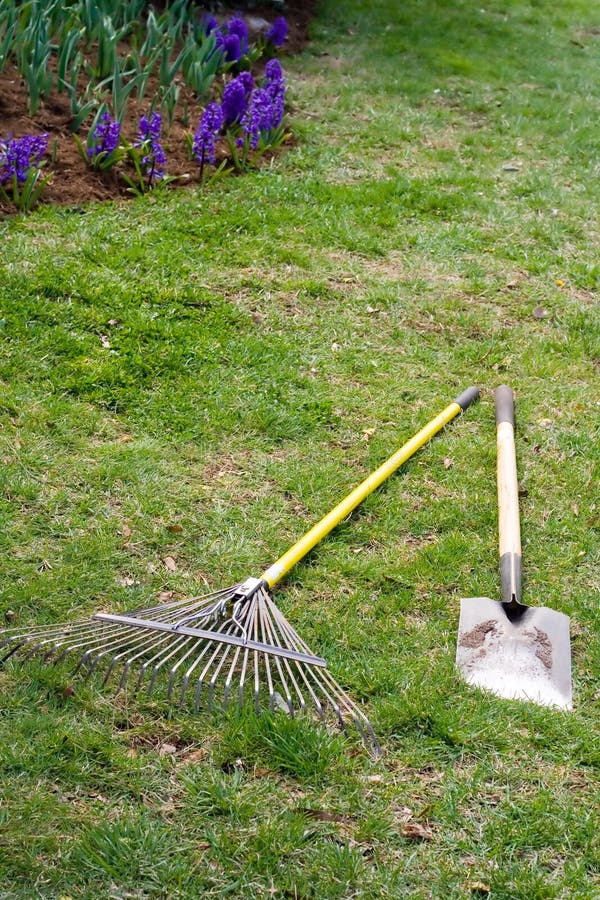 Gardening Tools stock photo. Image of botanical, dirt - 2302532