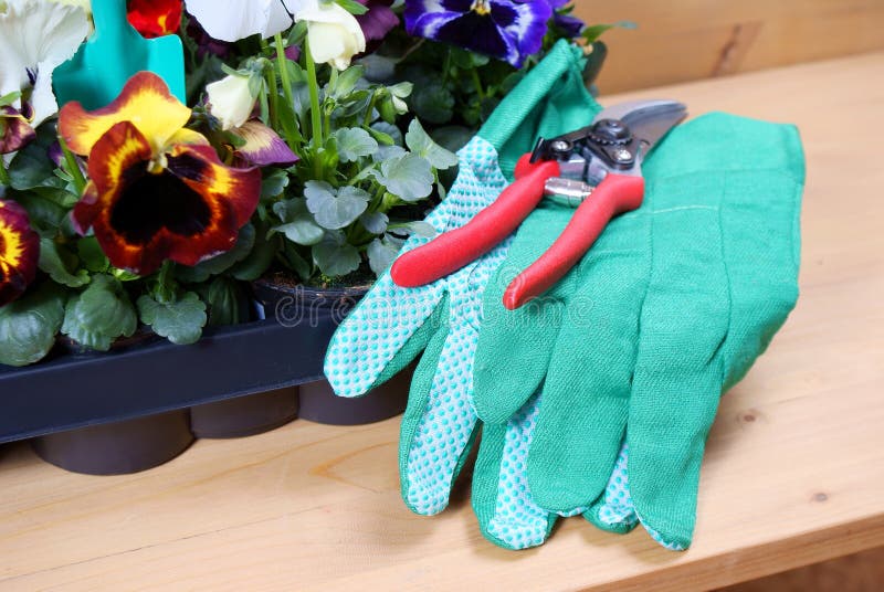 Gardening tools stock image. Image of gardening, plant - 23947001