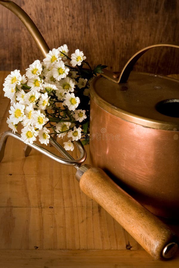 748 Rusty Watering Can Stock Photos - Free & Royalty-Free Stock Photos ...