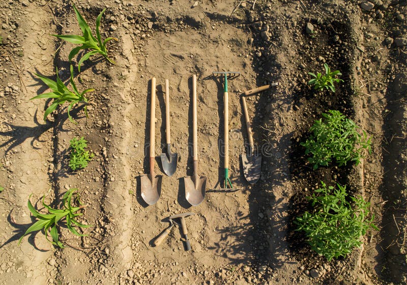Gardening Tools Arranged in Garden Plot Stock Illustration ...