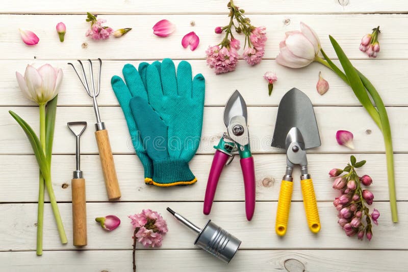 Gardening Tools with Flower and Bulbs on Wood Background. Top View ...