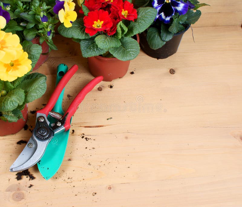 Gardening Tools and Flowers on Wooden Background Stock Photo - Image of ...