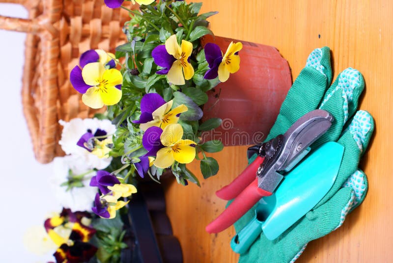 Gardening Tools with Flowers Stock Image - Image of hobby, herbal: 23869255