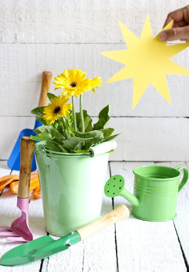 Gardening Tools and Flowers Abstract Floral Concept Stock Photo - Image ...