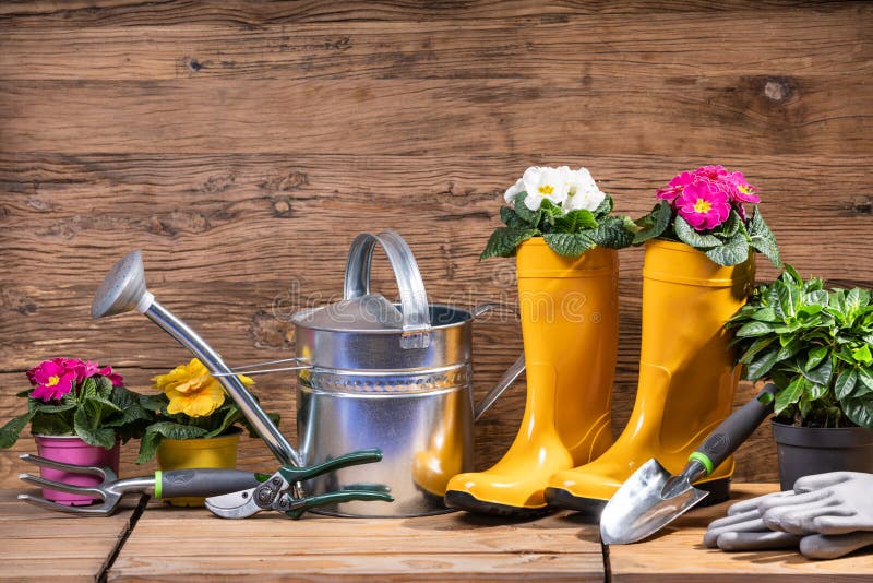 Gardening Tools and Flowers Stock Image - Image of gardening ...