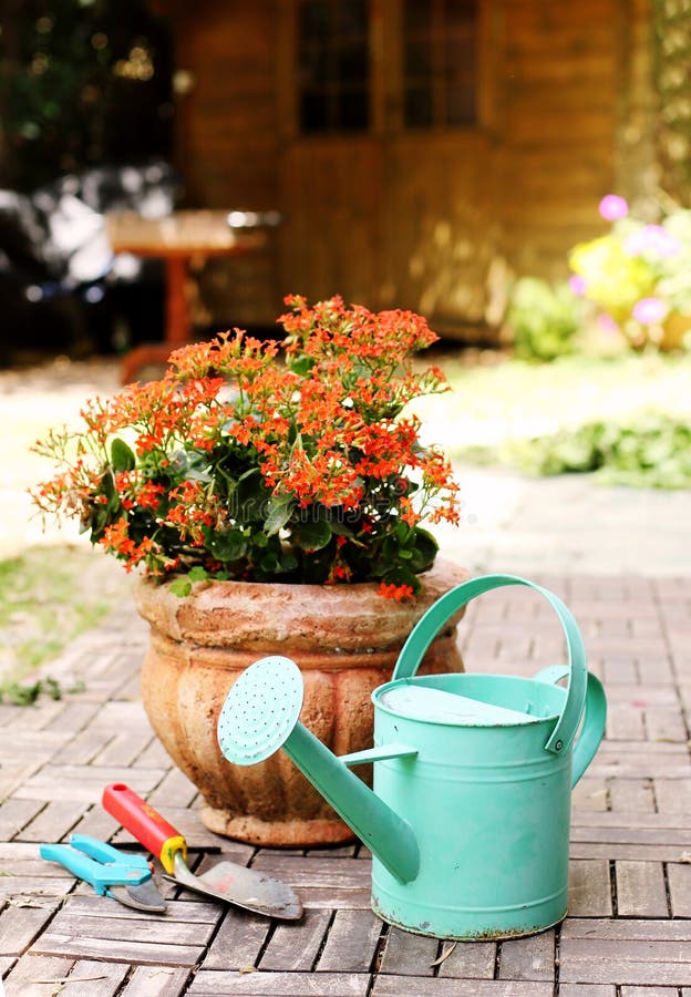 Gardening Tools and Flowers Stock Photo - Image of horticulture, flora ...