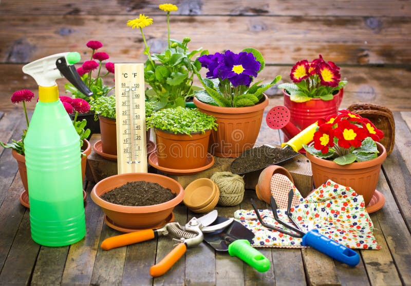 Spring Flowers with Gardening Tools Stock Image - Image of growth ...