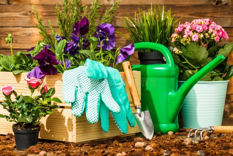 Gardening Tools and Flowers Stock Photo - Image of care, equipment ...
