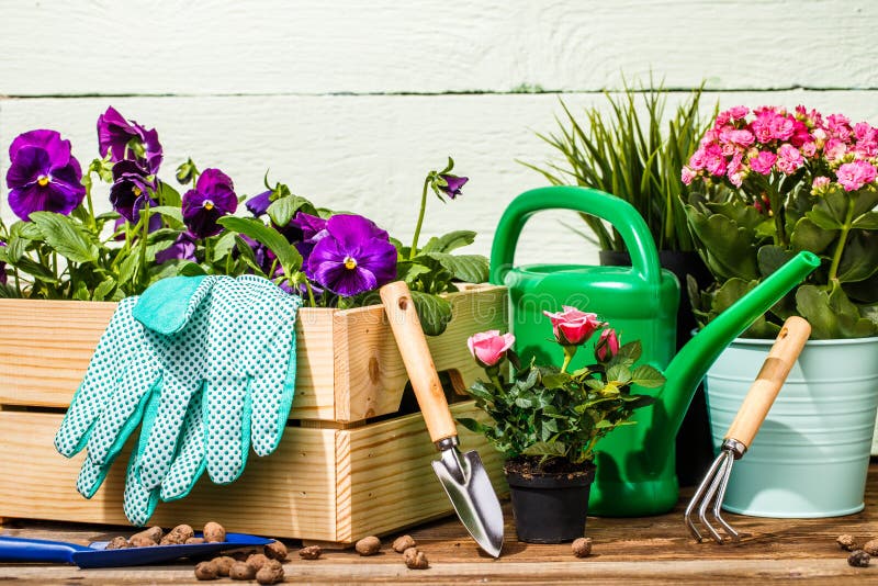 Gardening Tools and Flowers Stock Photo - Image of plants, dirt: 92239868