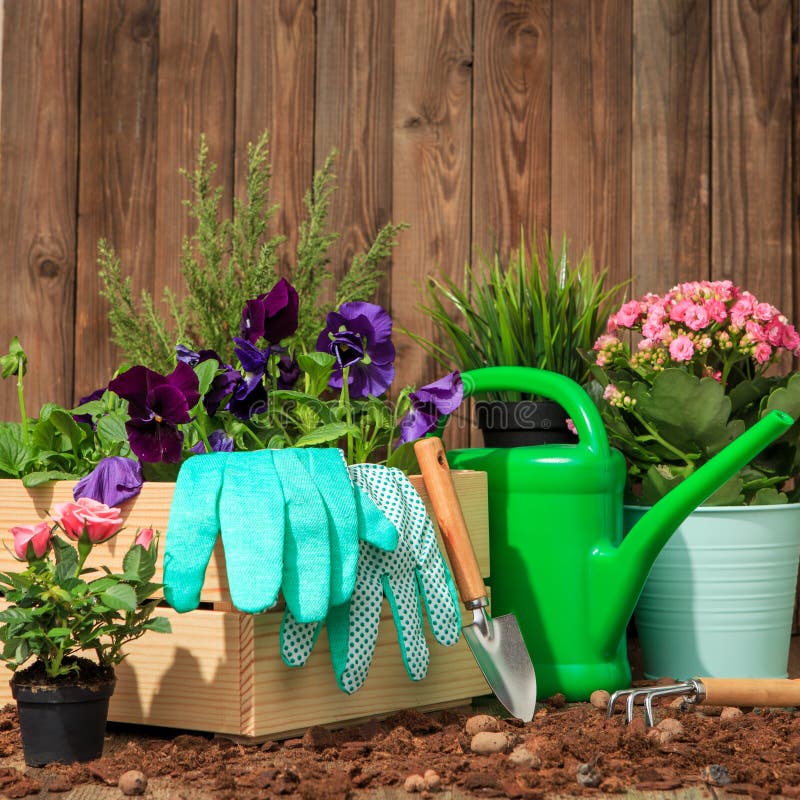 Gardening Tools and Flowers Stock Photo - Image of agriculture, season ...