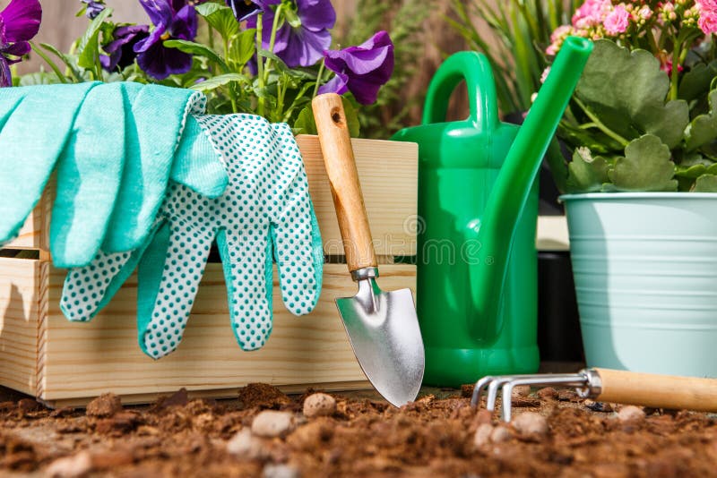 Gardening Tools and Flowers Stock Image - Image of planting ...