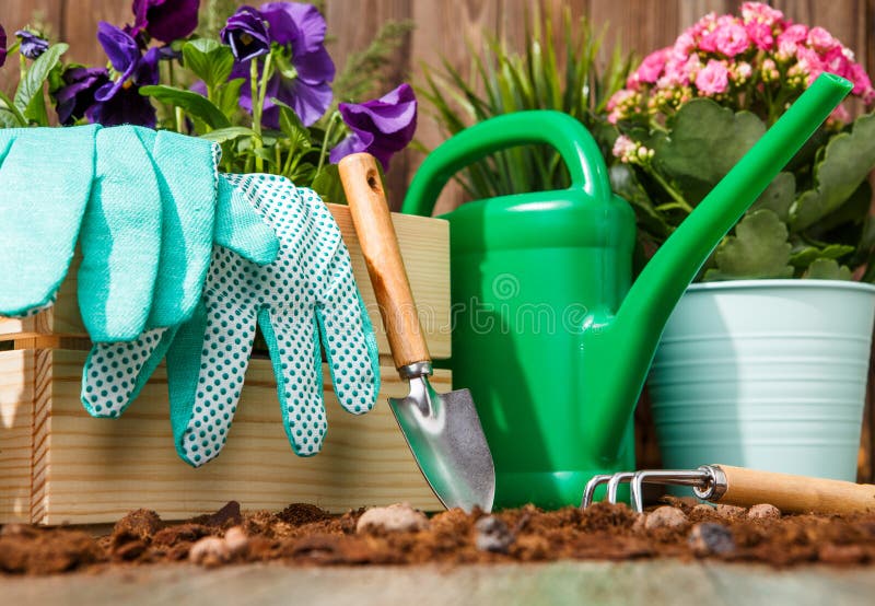 Gardening Tools and Flowers Stock Image - Image of flower, horticulture ...