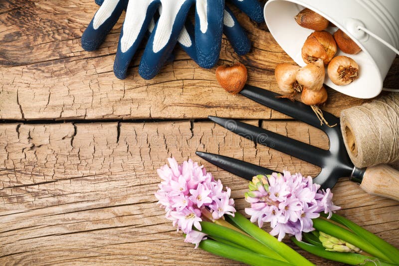 Gardening Tools with Flowers on Wood Background Stock Image - Image of ...