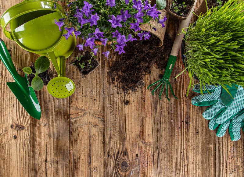 Gardening Tools and Flowers on Wooden Background Stock Image - Image of ...