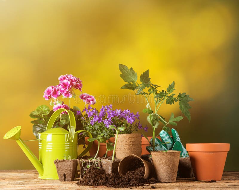 Gardening Tools And Flowers On Wooden Background Stock Photo - Image of ...