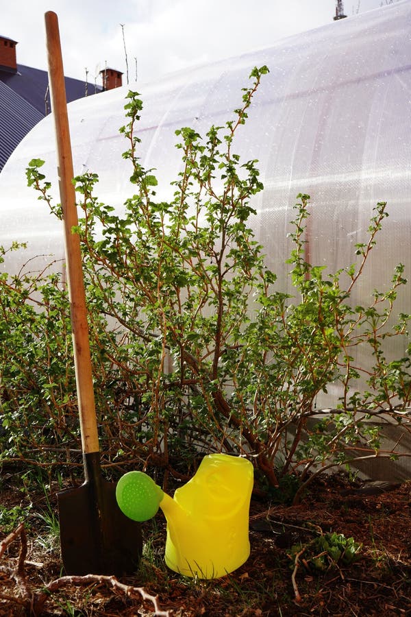 Gardening tools in garden stock image. Image of beginning - 181187691