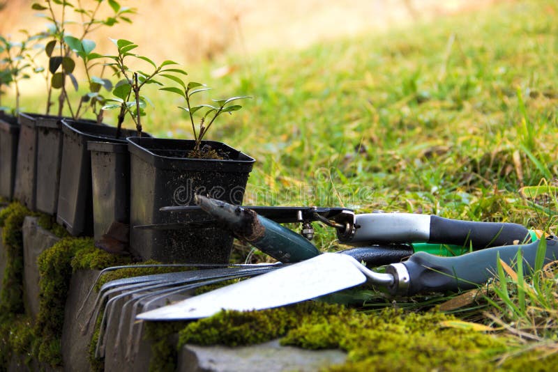 Gardening Tools stock photo. Image of garden, pots, plants - 67585546