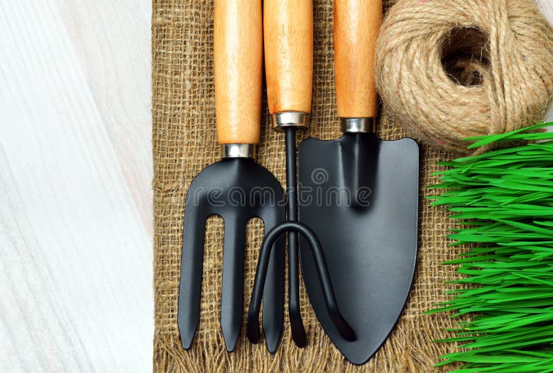 Gardening Tools, Green Grass Stock Photo - Image of seedling, earth ...