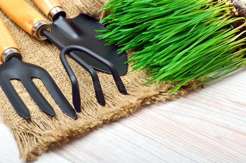 Bagging Roots Stock Photos - Free & Royalty-Free Stock Photos from ...