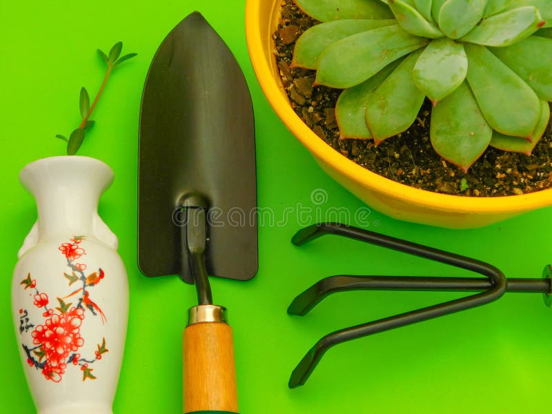 Gardening, Tools and Plant. Gardening Concept, Garden and Home Stock ...