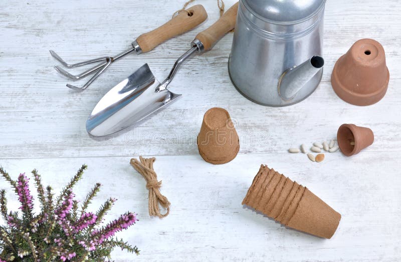 Gardening Tools and Plant on a White Table Stock Photo - Image of table ...