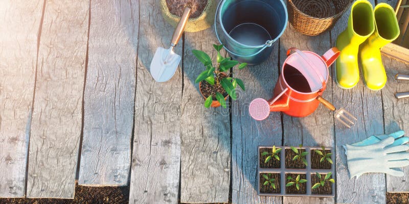 Gardening Tools and Props at Sunny Day 3d Render Background Stock ...