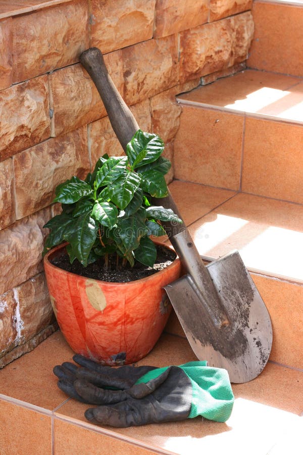 Gardening Tools, Shovel, Gloves. Stock Image - Image of green, tools ...