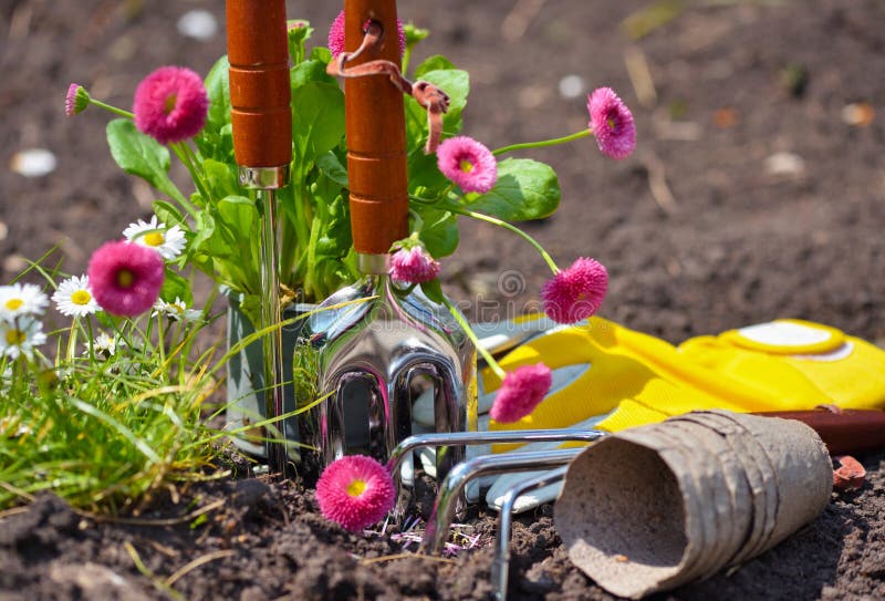 Gardening Tools and Spring Flowers in the Garden. Gardening Concept ...