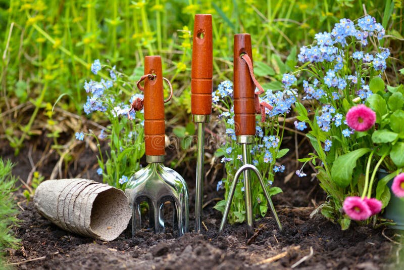 Gardening Tools and Spring Flowers in the Garden. Gardening Concept ...