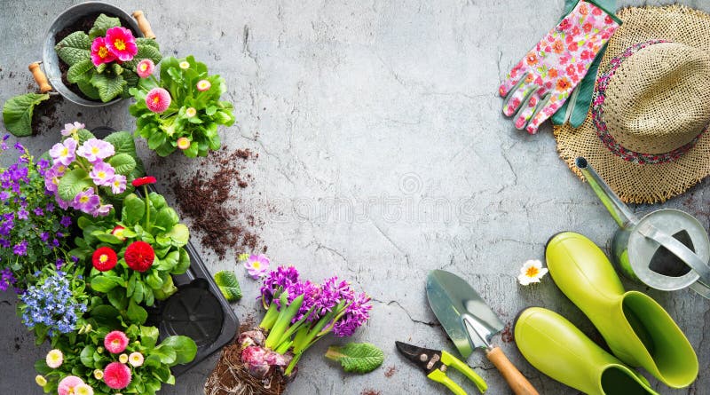 Gardening Tools and Spring Flowers on the Terrace Stock Image - Image ...