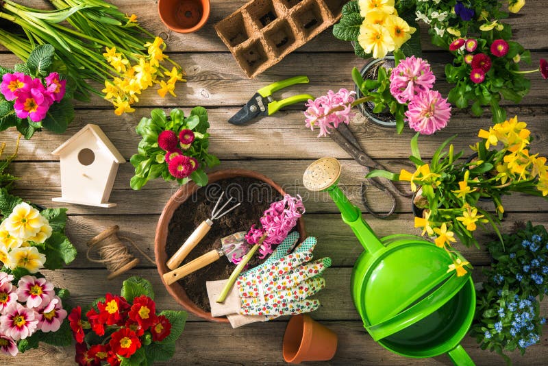 Gardening Tools and Spring Flowers on the Terrace Stock Image - Image ...